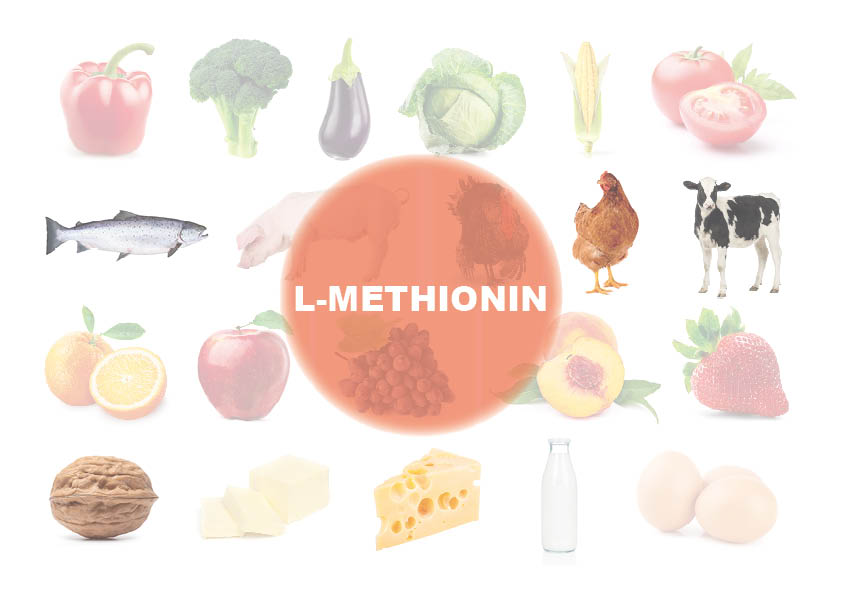 L-Methionin - eine kurze Übersicht - sananutrin